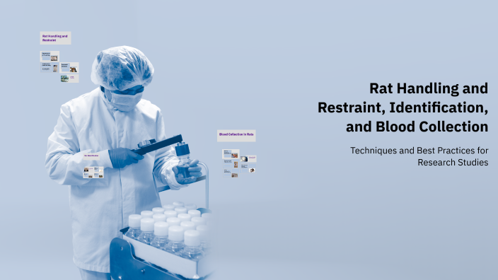 Rat Handling and Restraint, Identification, and Blood Collection by ...