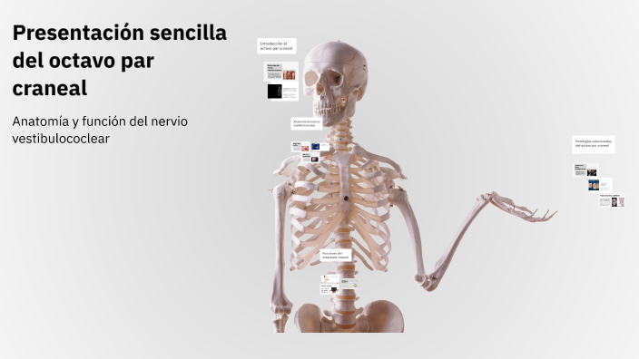 Presentación sencilla del octavo par craneal by Leslie Castro on Prezi