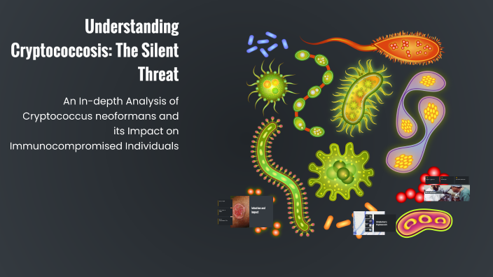 Understanding Cryptococcosis: The Silent Threat by Lizzy on Prezi