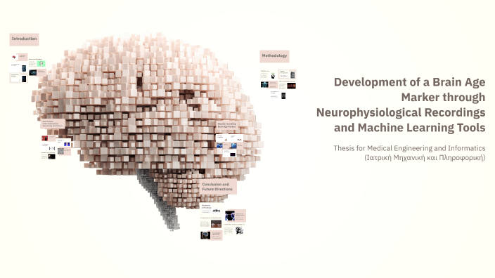 Development of a Brain Age Marker through Neurophysiological Recordings and Machine Learning ...