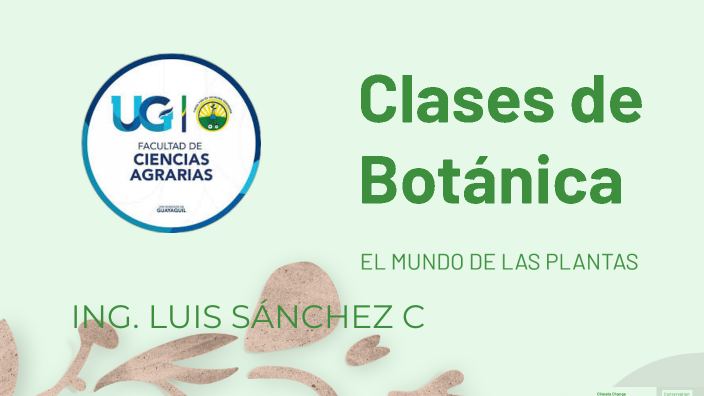Clases de Botánica by LUIS DAMIANI SANCHEZ CAMPOVERDE on Prezi