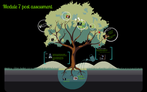 module 7 post assessment by Hannah Murphy on Prezi