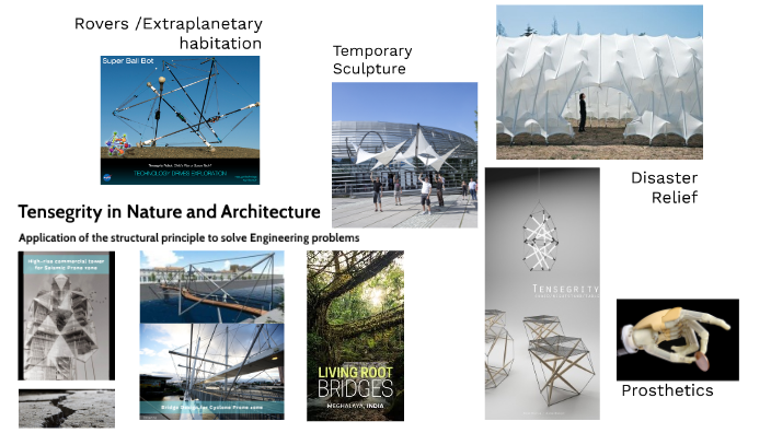 Tensegrity in nature and architecture : Application to solve ...