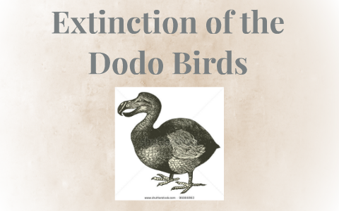 Extinction of the Dodo Birds by Elailleta . on Prezi