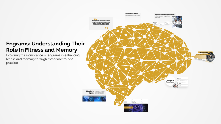 Engrams: Understanding Their Role in Fitness and Memory by Tyler ...