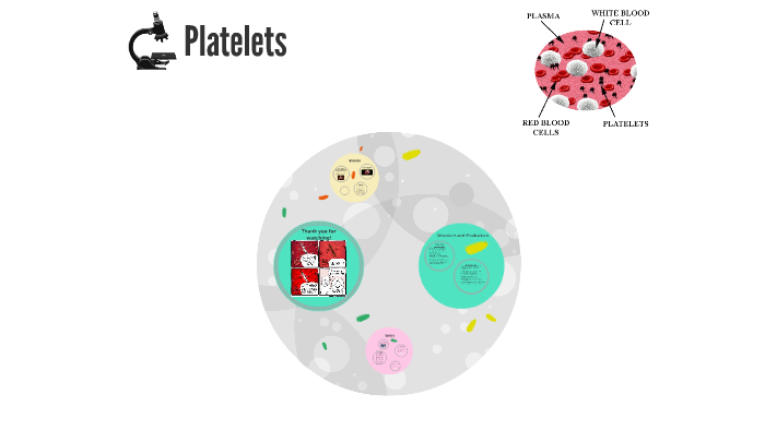 Platelets by Katrina Tse on Prezi