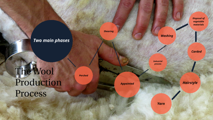 The Wool Production Process by denise rossi on Prezi