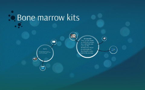 Bone marrow kits by Conner Hayes on Prezi