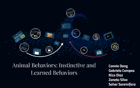 Animal Behaviors: Instinctive and Learned Behaviors by Nico Diaz on Prezi