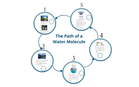 The Path of a Water Molecule by Dylan Monteiro on Prezi