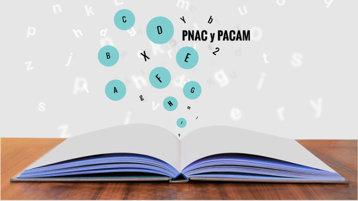 pnac y pacam by steffi navarrete on Prezi