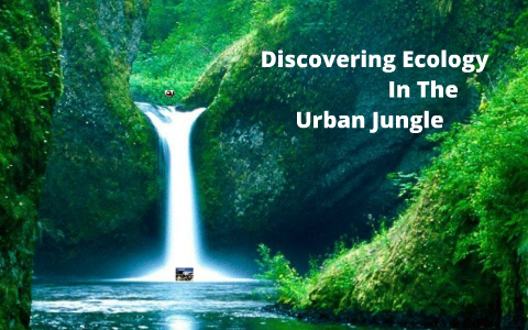 Discovering Ecology in the Urban Jungle (Long) by Jason Aloisio on Prezi