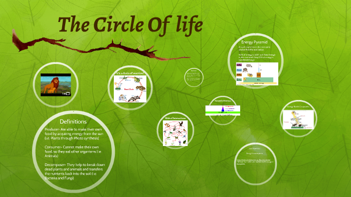 Energy in Ecosystems- The Circle of Life by Helen Asokan on Prezi