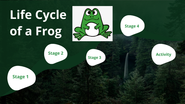 Life Cycle of a Frog by emma brummer on Prezi