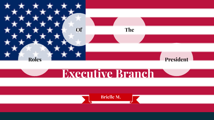 Roles of the President: Executive branch by Brielle Moore on Prezi