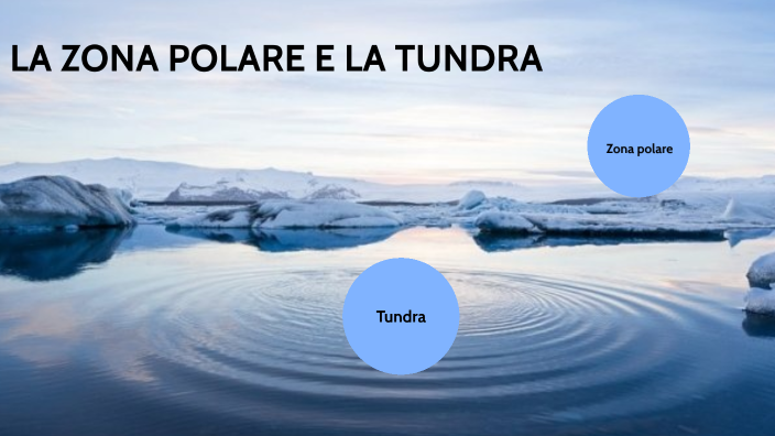 LA TUNDRA E LA ZONA POLARE by Lavinia Affinito on Prezi
