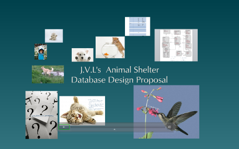 International Animal Shelter Database Design Proposal by Jaeyoung Yoo ...