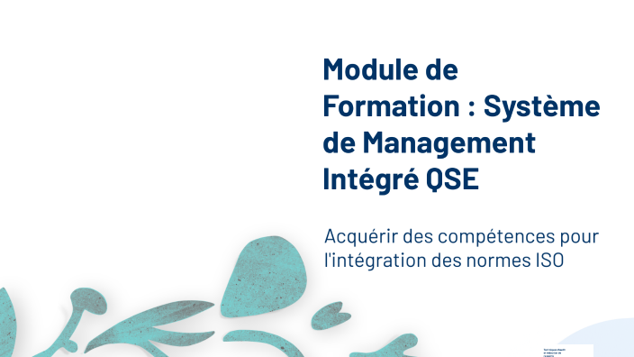 Module de Formation : Système de Management Intégré QSE by Amadou SOW ...