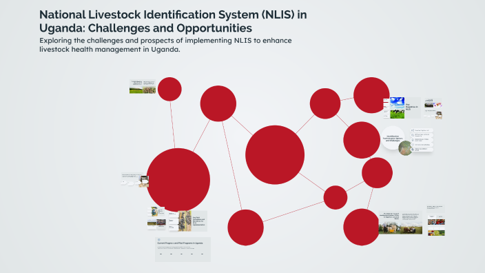 National Livestock Identification System (NLIS) in Uganda: Challenges ...