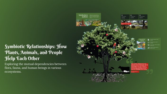 Symbiotic Relationships: How Plants, Animals, and People Help Each ...
