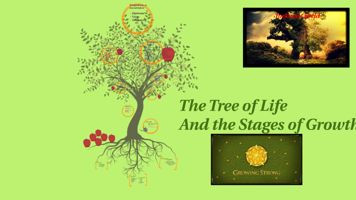 The tree of growth by