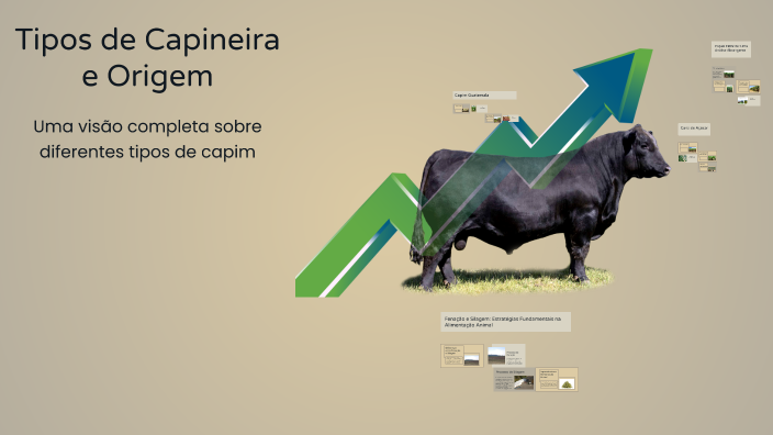 Tipos de Capineira e Origem by Camila Gualberto on Prezi