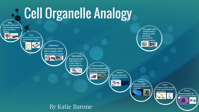 Cell Organelle Analogy by Katie Barone on Prezi