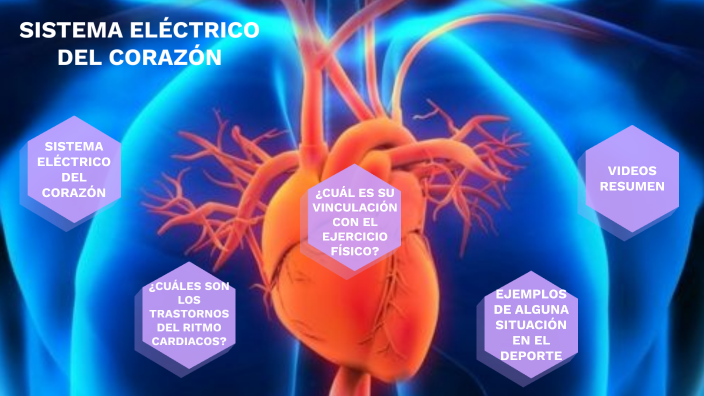 Sistema eléctrico del corazón by Reyes De la Blanca Alonso on Prezi