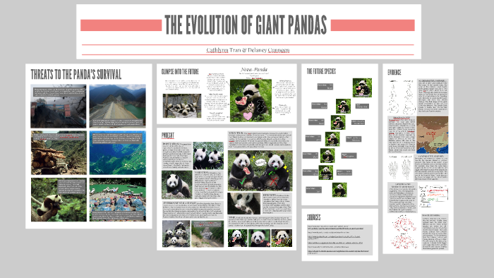 THE EVOLUTION OF GIANT PANDAS by Cathlynn Tran on Prezi