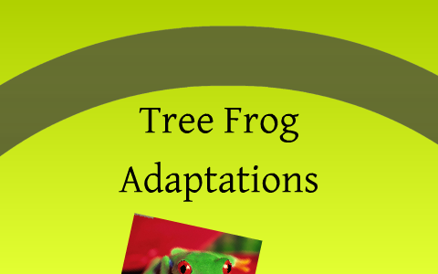 Tree Frog Adaptations by Karen Aguilar on Prezi