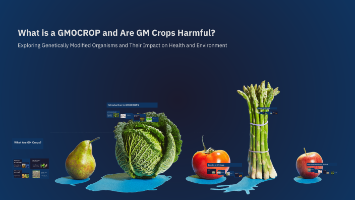 What is a GMOCROP and Are GM Crops Harmful? by Fatmata Fofanah on Prezi