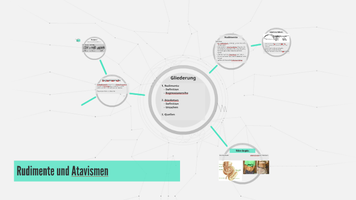 Rudimente und Atavismen by Kai Sonnensc on Prezi Next