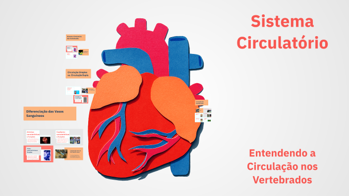 Sistema Circulatório by Nathan Cardoso on Prezi