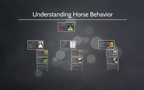 Understanding Horse Behavior by Tasheeka Stewart on Prezi