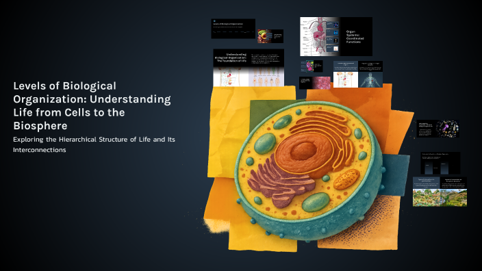 Levels of Biological Organization: Understanding Life from Cells to the ...