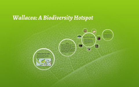 Wallacea: A Biodiversity Hotspot by Cielo Perez on Prezi