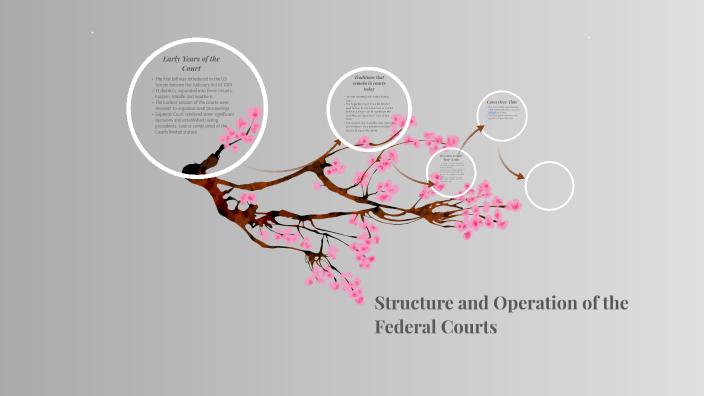 Structure and Operation of the Federal Courts by Armani Hinman on Prezi