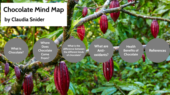 Chocolate mind map by Claudia Snider on Prezi