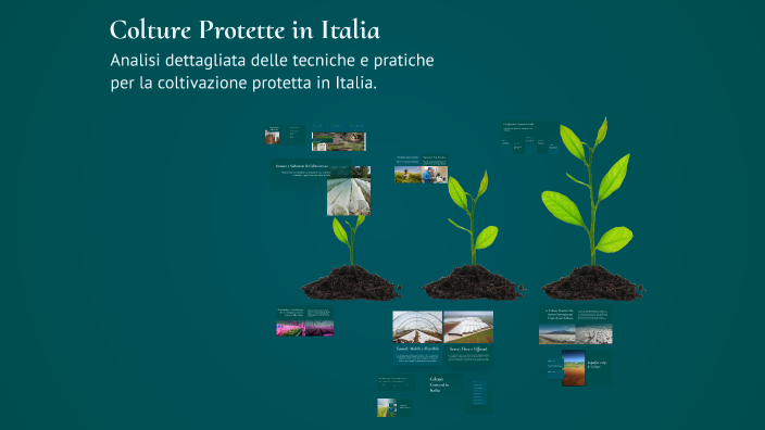 Colture Protette in Italia by Michelle Leoni on Prezi