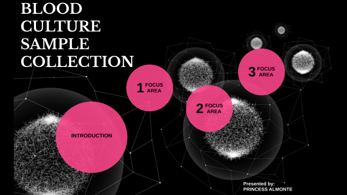 Blood culture sample collection by princess almonte on Prezi
