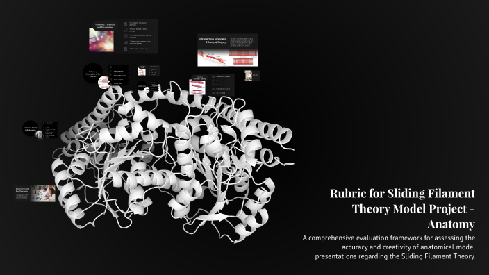 Rubric for Sliding Filament Theory Model Project - Anatomy by Parker ...