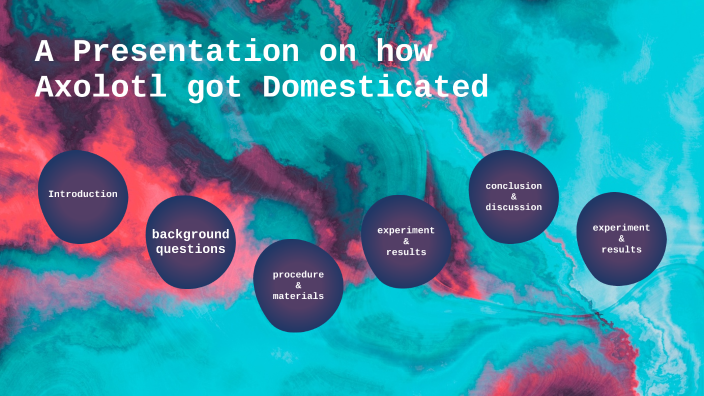 Presentation on how turkeys got domesticate by Ethan Tirado on Prezi