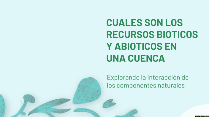 CUALES SON LOS RECURSOS BIOTICOS Y ABIOTICOS EN UNA CUENCA by diego ...