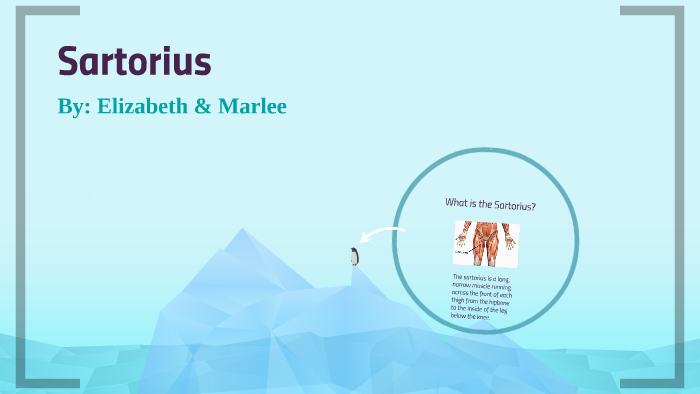Sartorius by Marlee Vinson on Prezi
