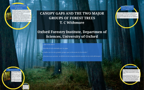 CANOPY GAPS AND THE TWO MAJOR GROUPS OF FOREST TREES by psykou takashi ...