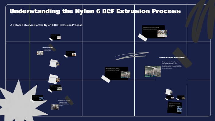 Understanding the Nylon 6 BCF Extrusion Process by adriano caresani on ...