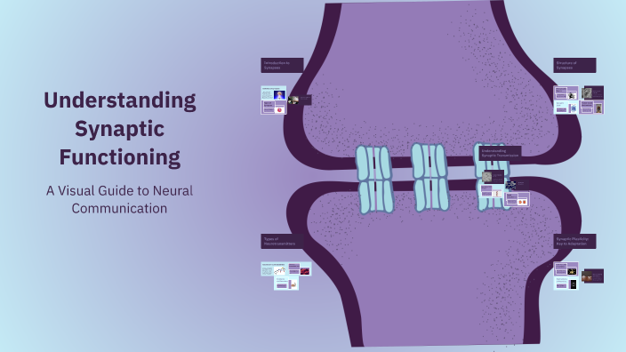Understanding Synaptic Functioning by Noor van der Steen on Prezi