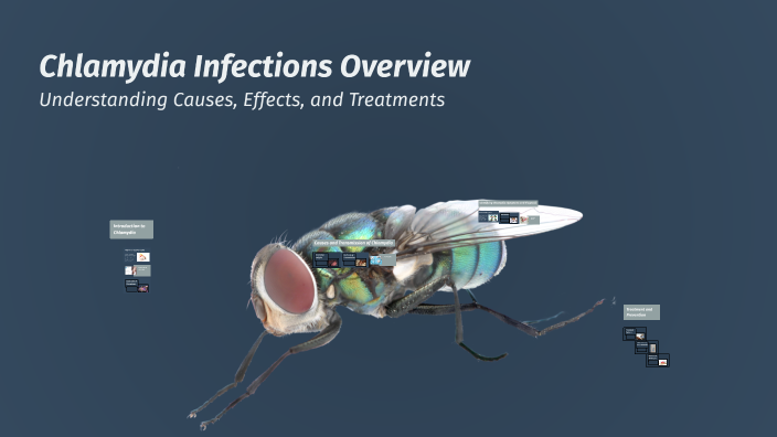 Chlamydia Infections Overview by Marius Spunei on Prezi