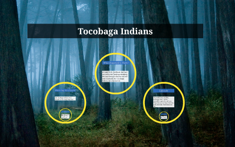 Tocobaga Indians by on Prezi