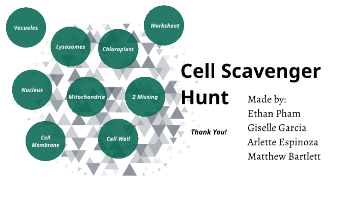 Cell Scavenger Hunt by Ethan Pham on Prezi